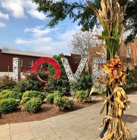 Top 10 Reasons to Visit Culpeper Downtown this Fall! - Culpeper ...